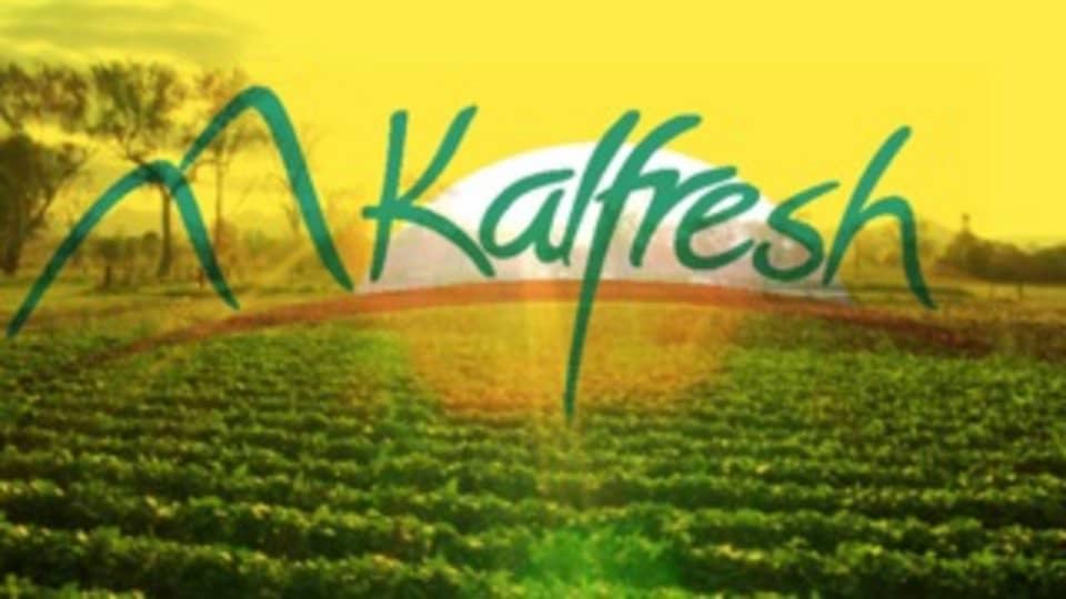 The Kalfresh Story on Vimeo