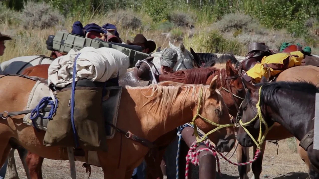 Gary Baughman Portfolio - Hunting Under Heaven Teaser on Vimeo