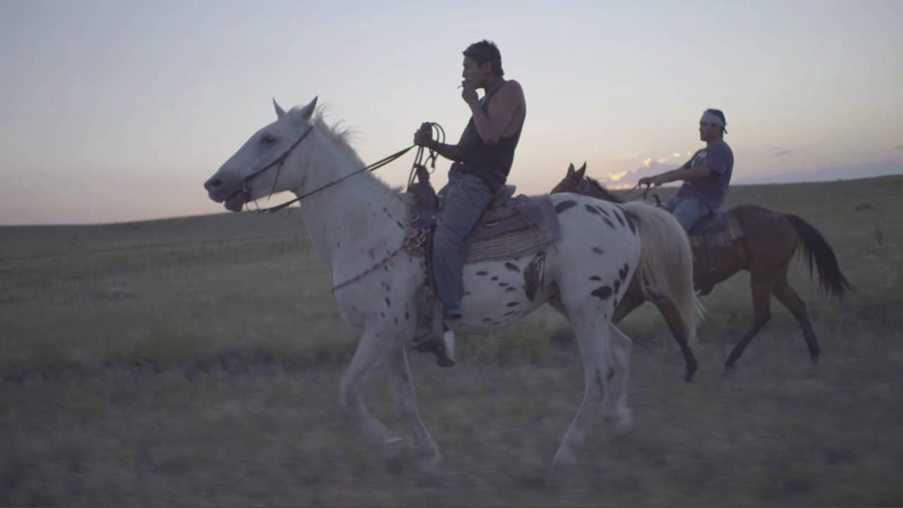 Pine Ridge (trailer) on Vimeo