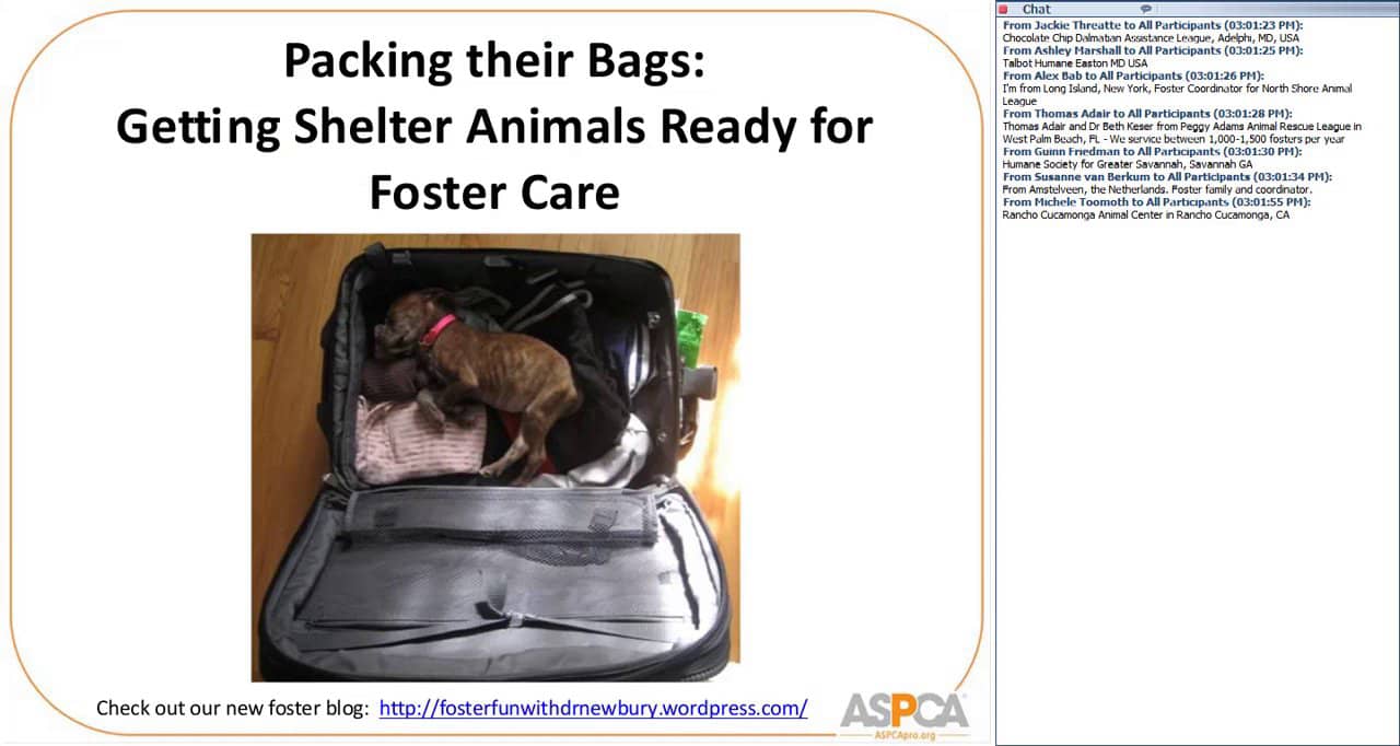 Packing their Bags Getting Shelter Animals Ready for Foster Care on Vimeo