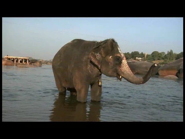HD Footage of Exotic India on Vimeo