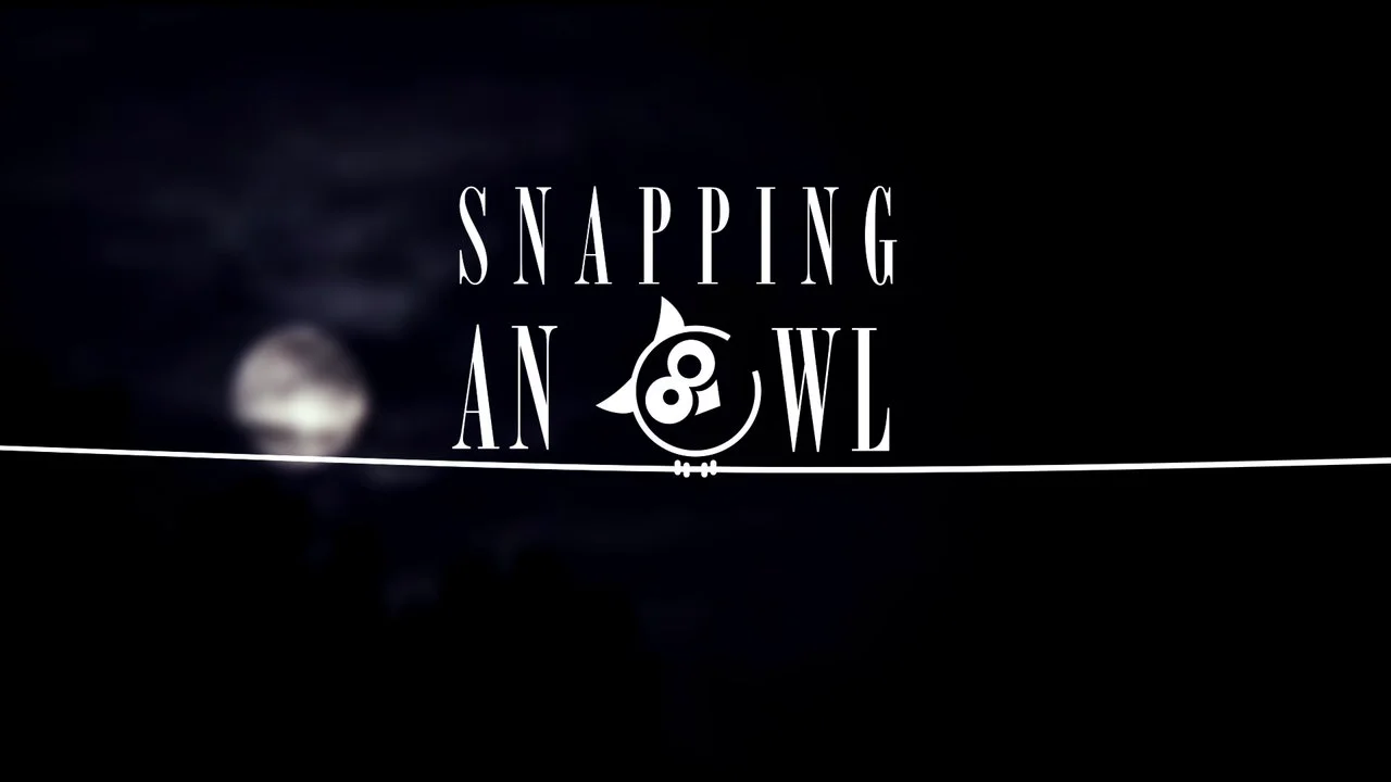 Stonecoal English: Snapping an owl on Vimeo