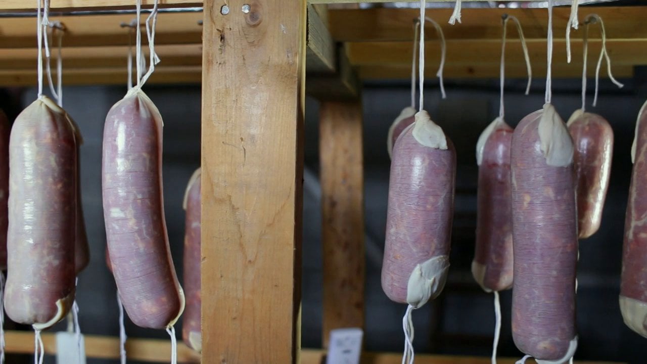 Strange Meats Trailer 2 on Vimeo