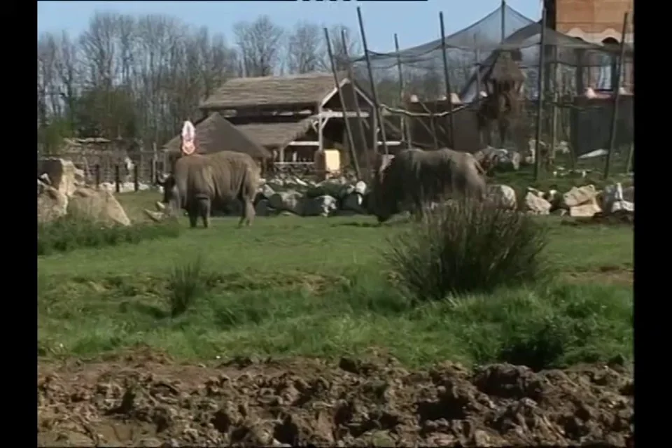 Lightning International screeners for TVM Corp - Zoo Vet At Large (43x30") - Series2 Ep 2 on Vimeo