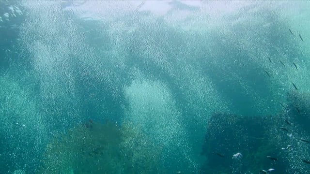 Water is Life on Vimeo