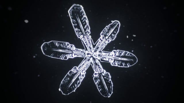Snowflake Formation and Growth - Neatorama