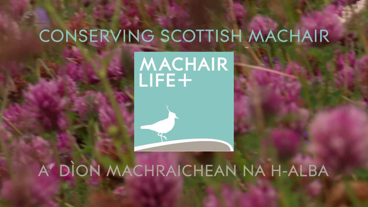 Machair LIFE+ Conserving Scottish Machair - A' Dìon Machraichean na H ...