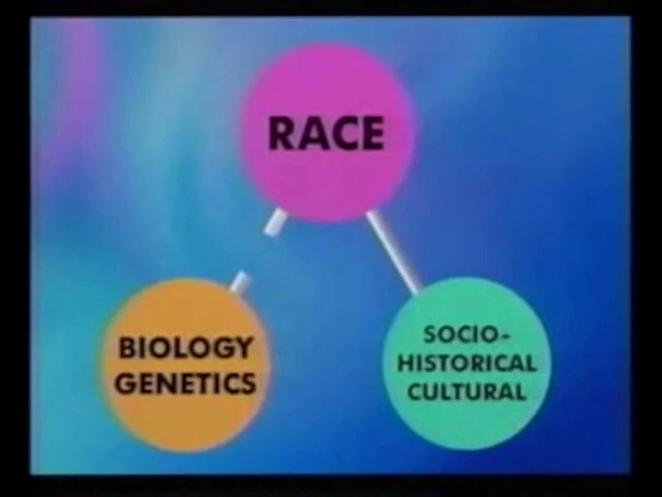 Stuart Hall: Race as Floating Signifier on Vimeo