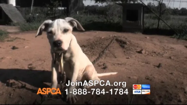 Aspca Commercial