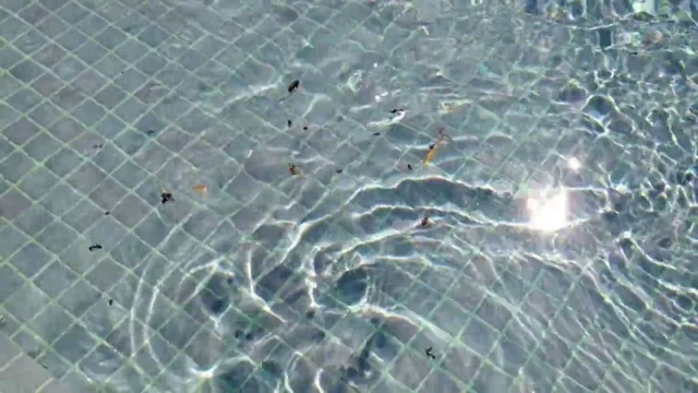 Spongebob Water Texture