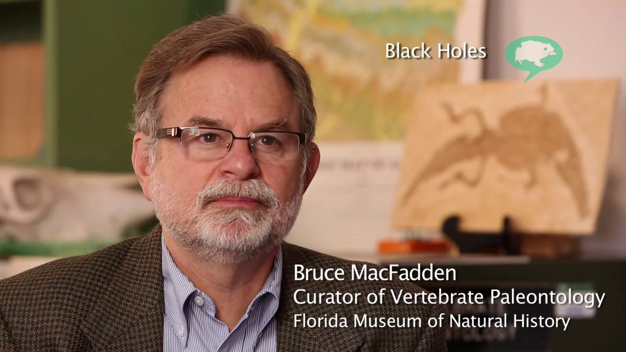 Black Holes: Bruce MacFadden on Vimeo