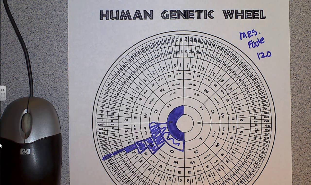How to complete the genetic wheel on Vimeo