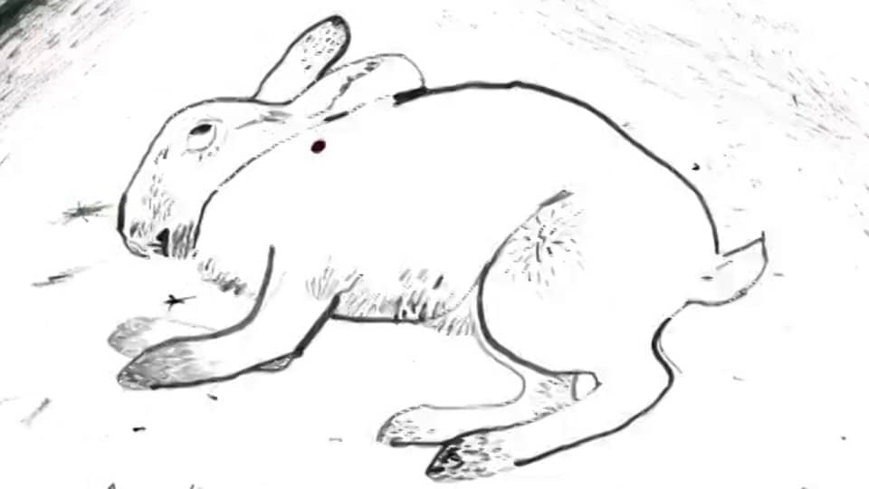 Rabbit Punch on Vimeo