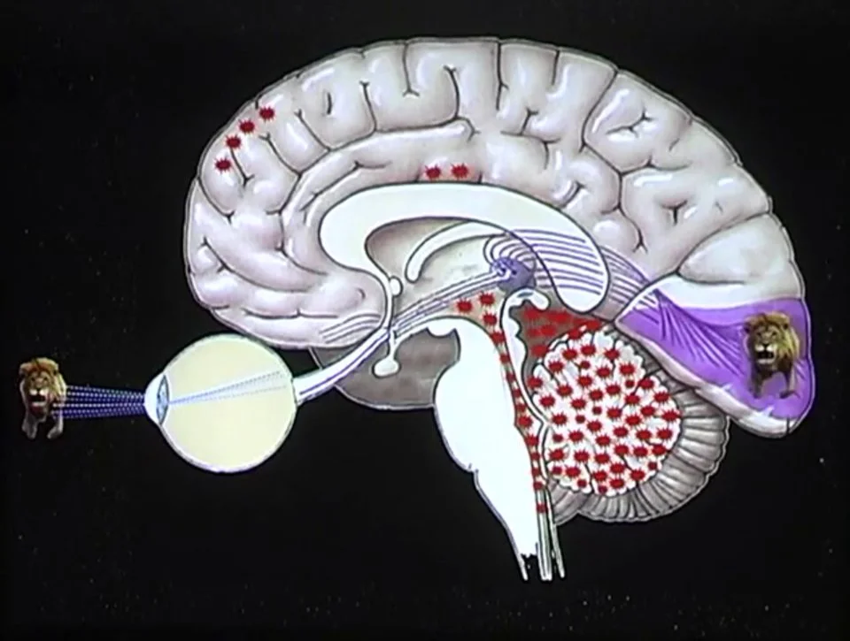 Jonathan Quintin 2011: Sacred Geometry on Vimeo