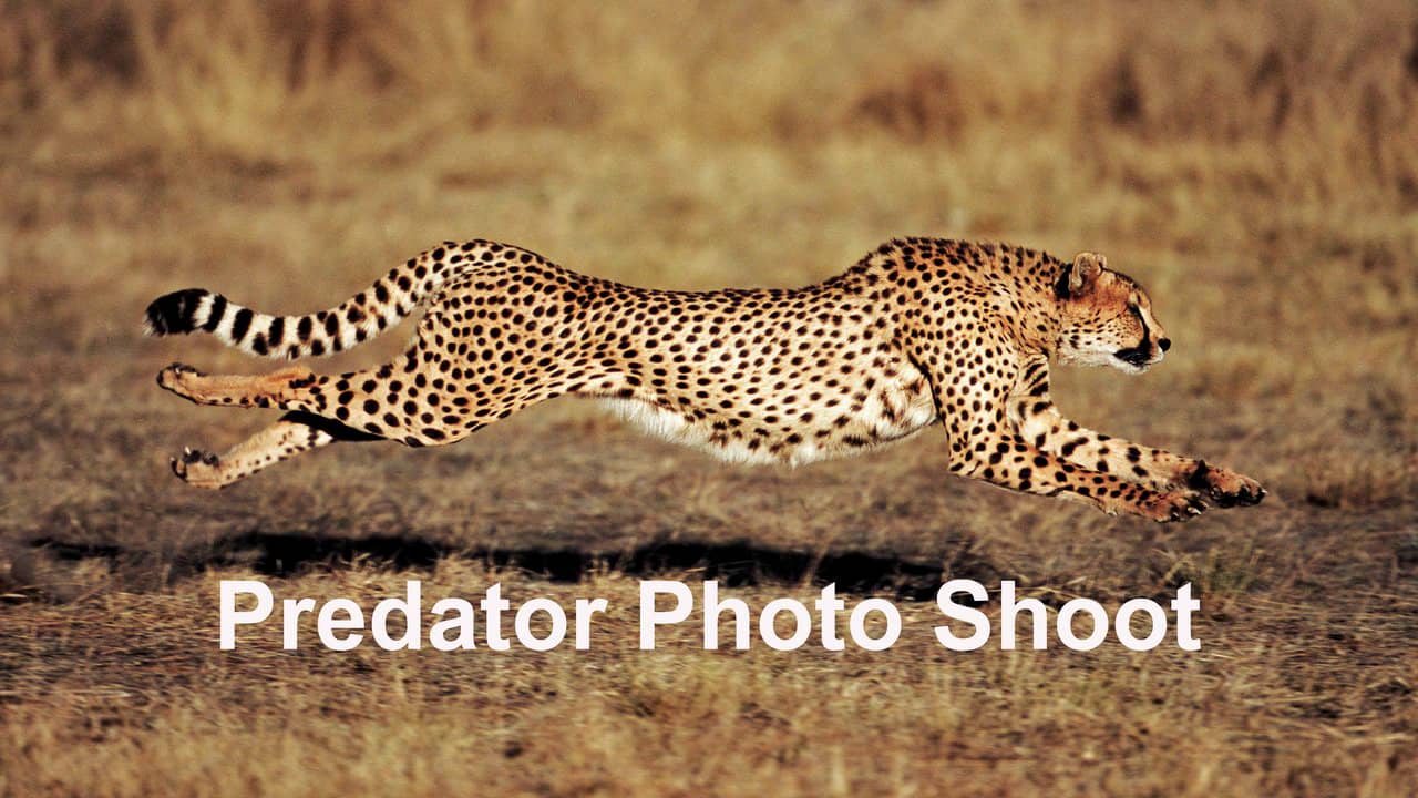 Predator Photo Shoot Namibia on Vimeo