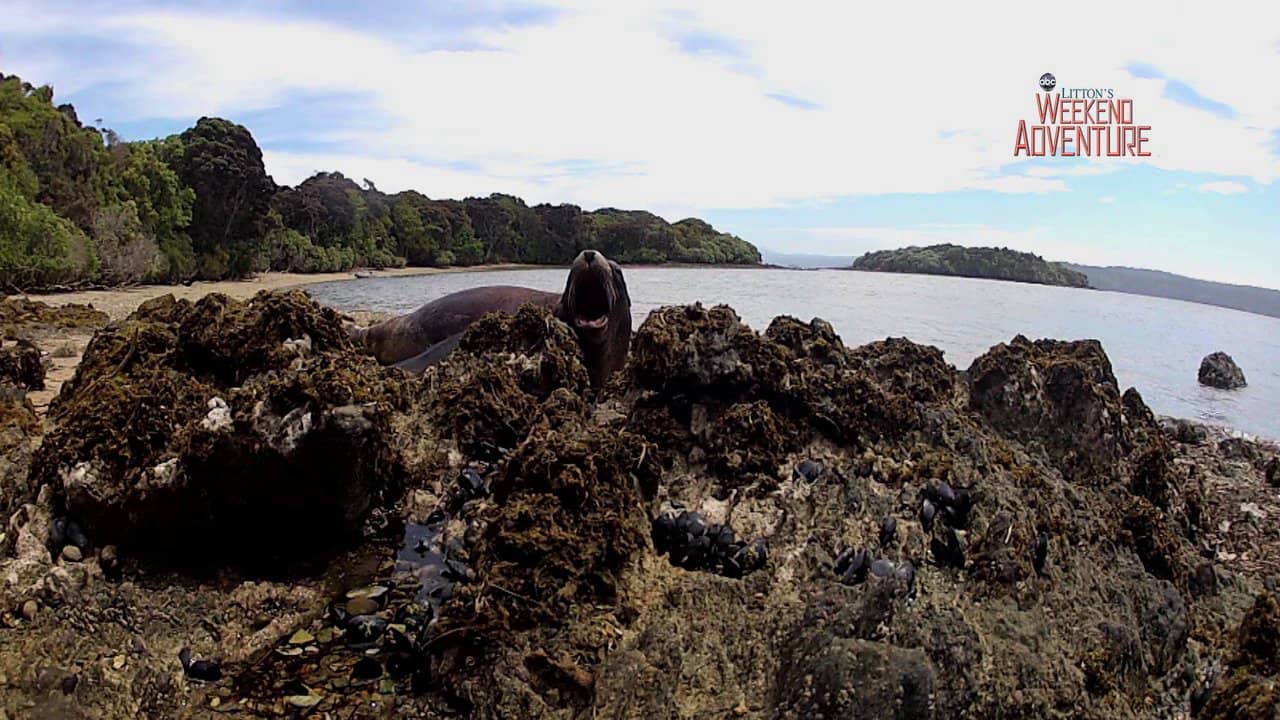 Litton's Weekend Adventure - March 2014 on Vimeo