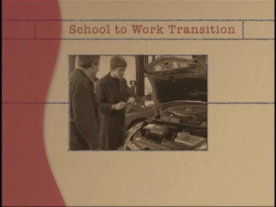 School to work transition