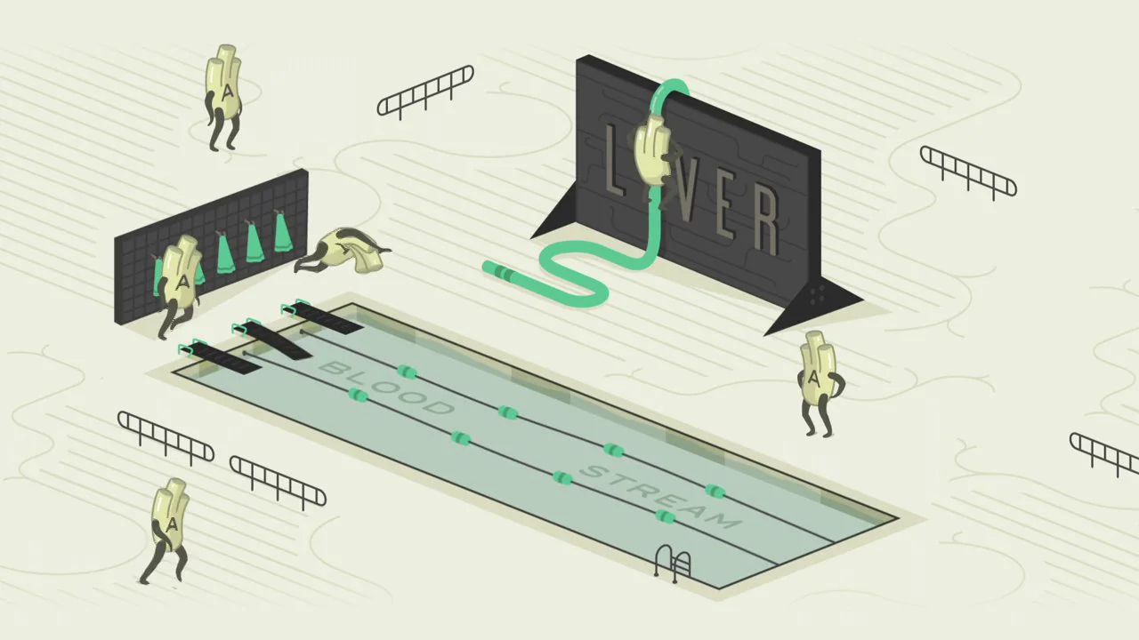 Men's Health Magazine // How a Protein Becomes a Muscle on Vimeo