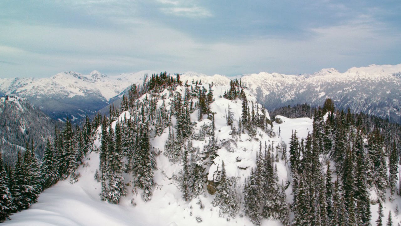 Labatt Blue Big Game XLVIII Commercial (2014) - Undomesticated ...