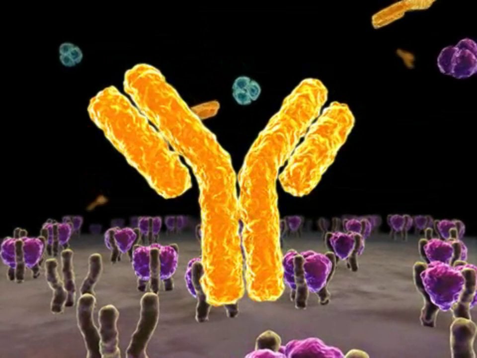 humira 480x360 on Vimeo