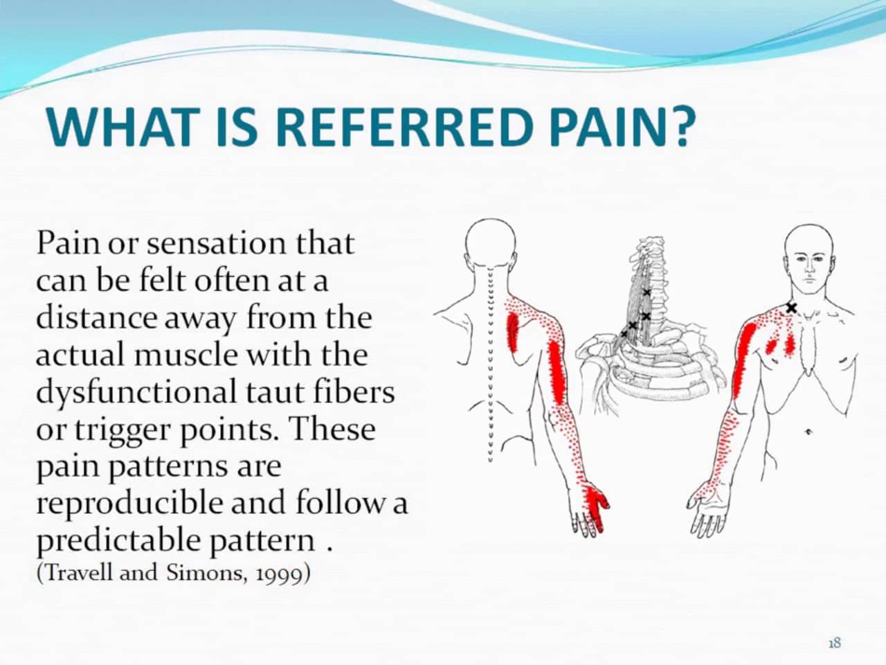 Dynamic Self care compression for eliminating trigger points and muscle ...