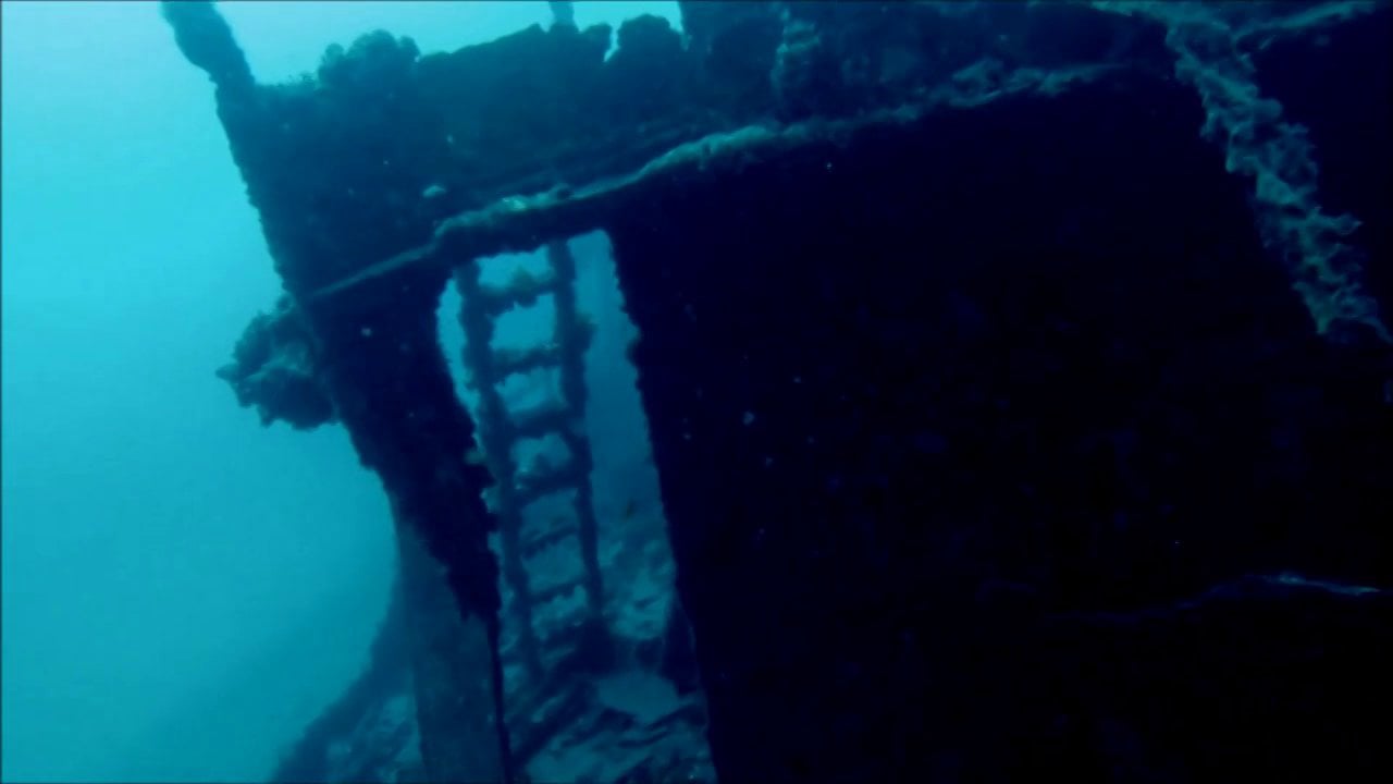 PEZ CHANCHITO - BUCEO (Congiopodus peruvianus) PICHIDANGUI - CHILE ...