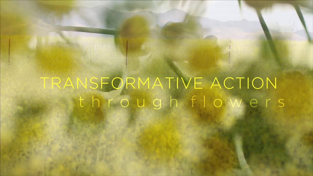 Transformative Action on Vimeo