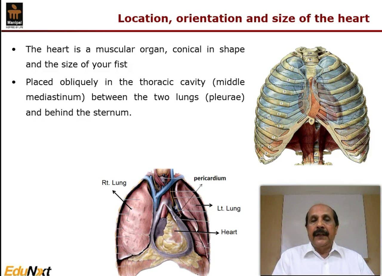 Lecture Series on Anatomy -By Dr.Seetharam Bhat on Vimeo