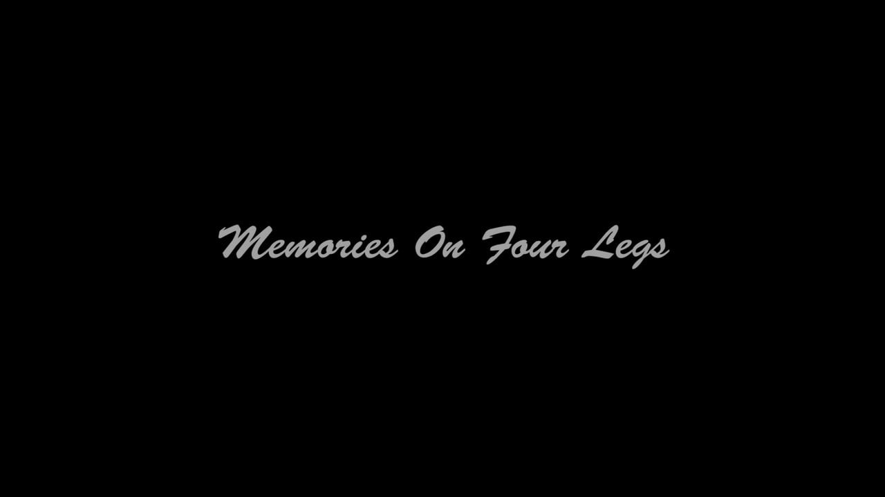 Memories on 4 legs_ Luke Demaine on Vimeo
