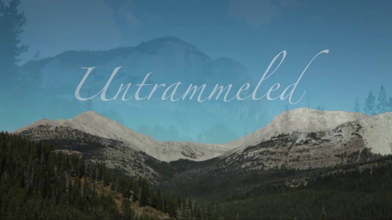 8. UNTRAMMELED (Full Version) on Vimeo
