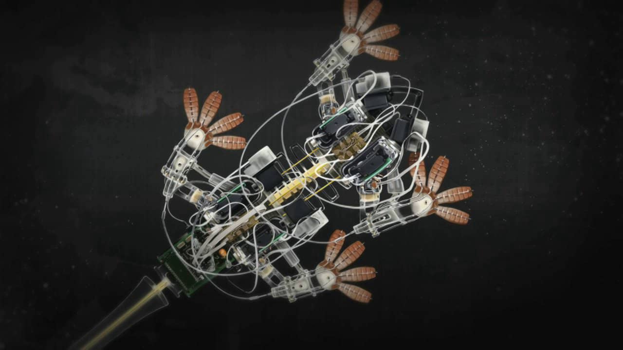 Zoobots Book Trailer on Vimeo