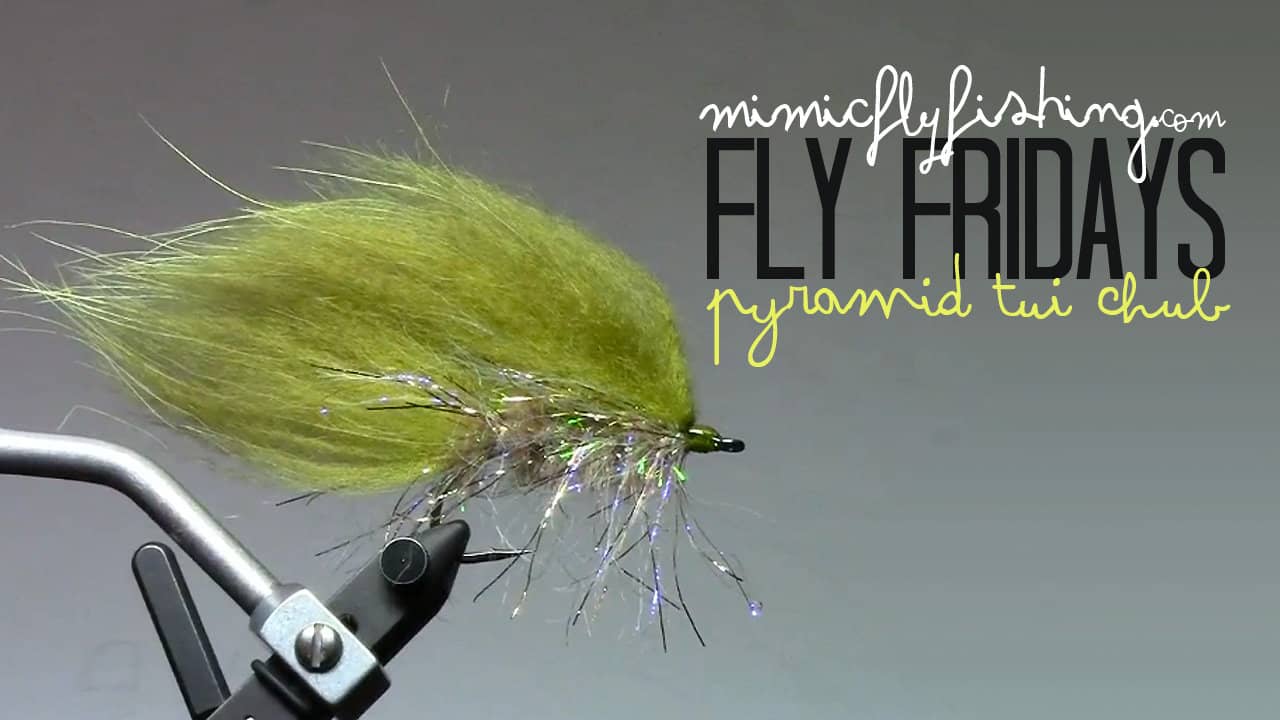 Jan's Pyramid Tui Chub on Vimeo