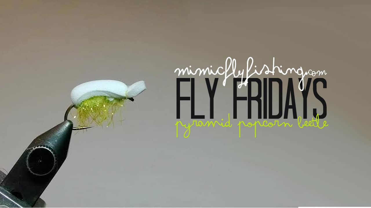 Fly Fridays: The Pyramid Popcorn Beetle on Vimeo