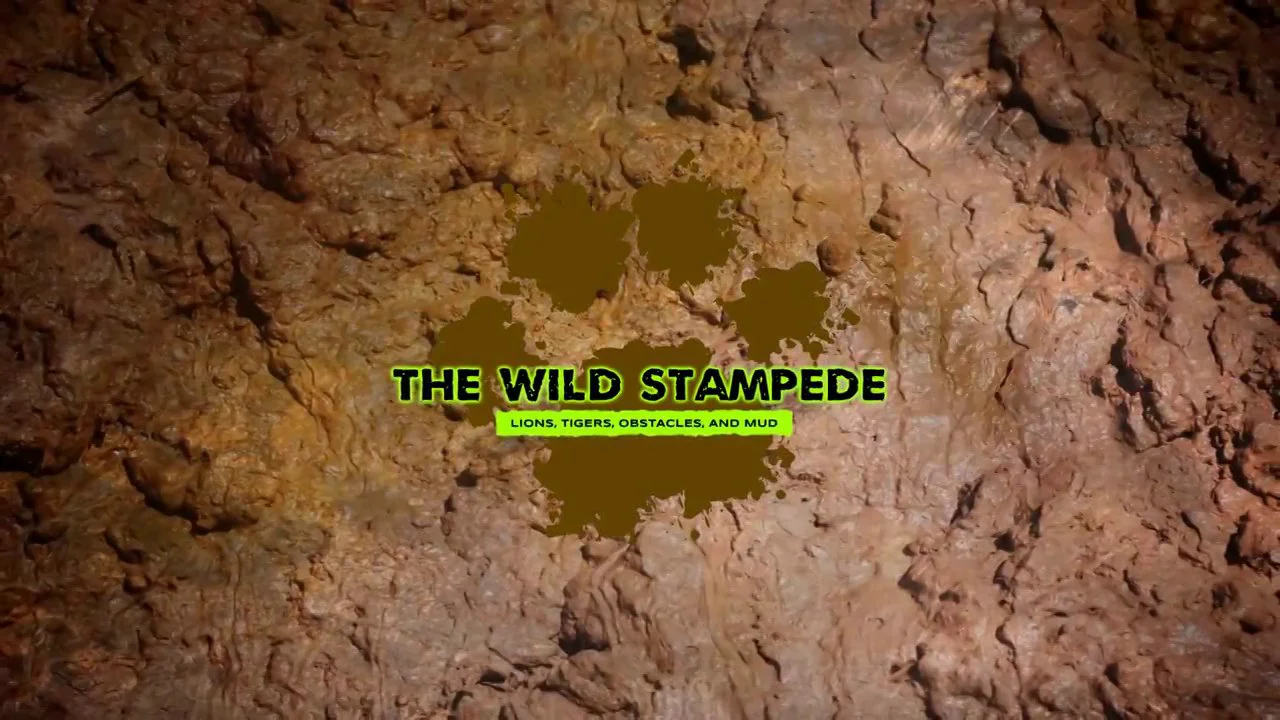 Wild Stampede Promo on Vimeo