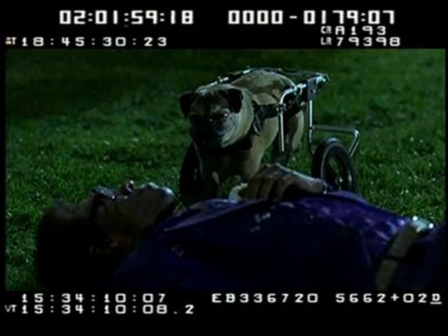 Talking Dog from "Norbit" on Vimeo