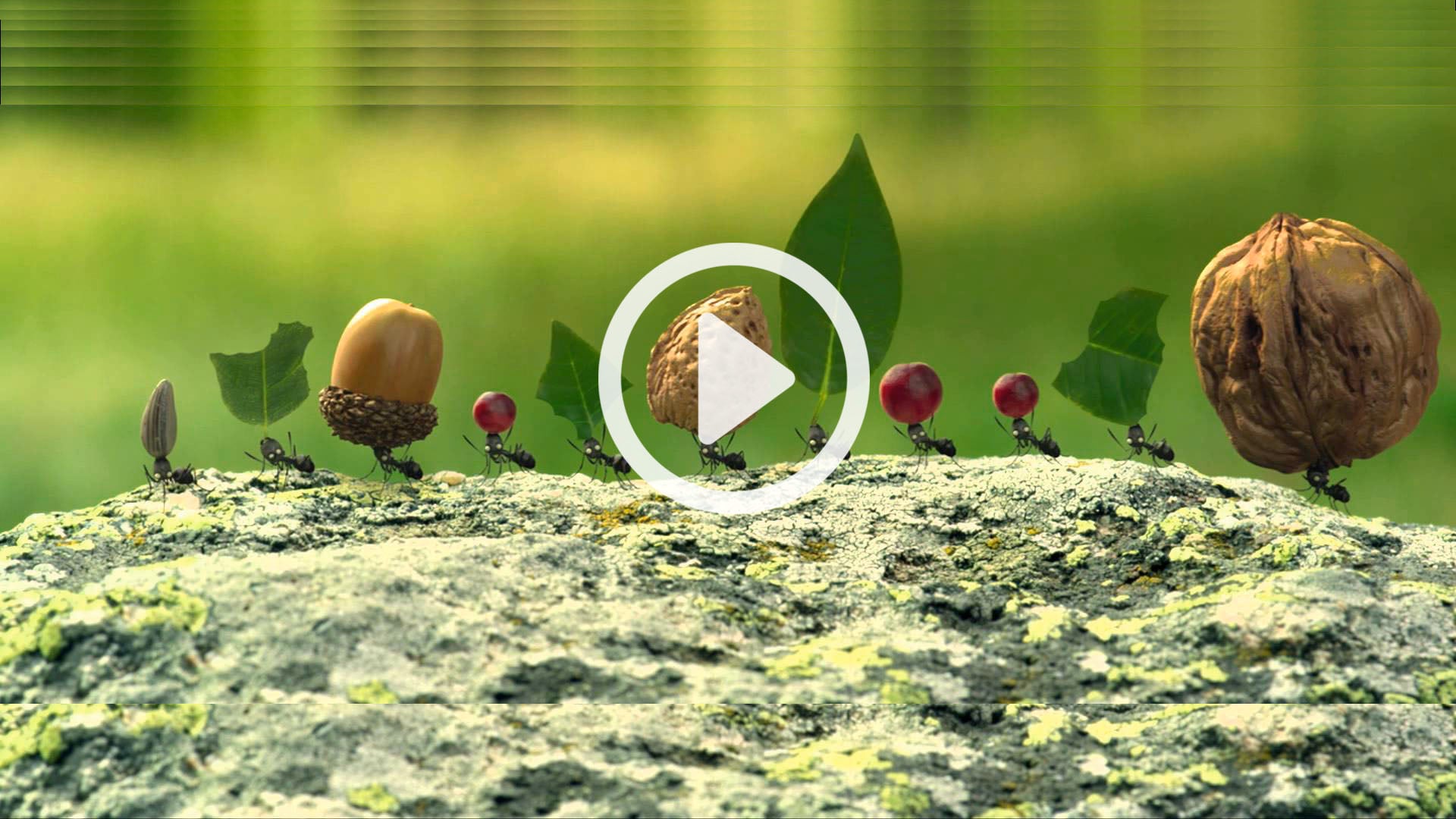 Cinebox: Colorful 3D animation Minuscule Valley Of The Lost Ants in ...