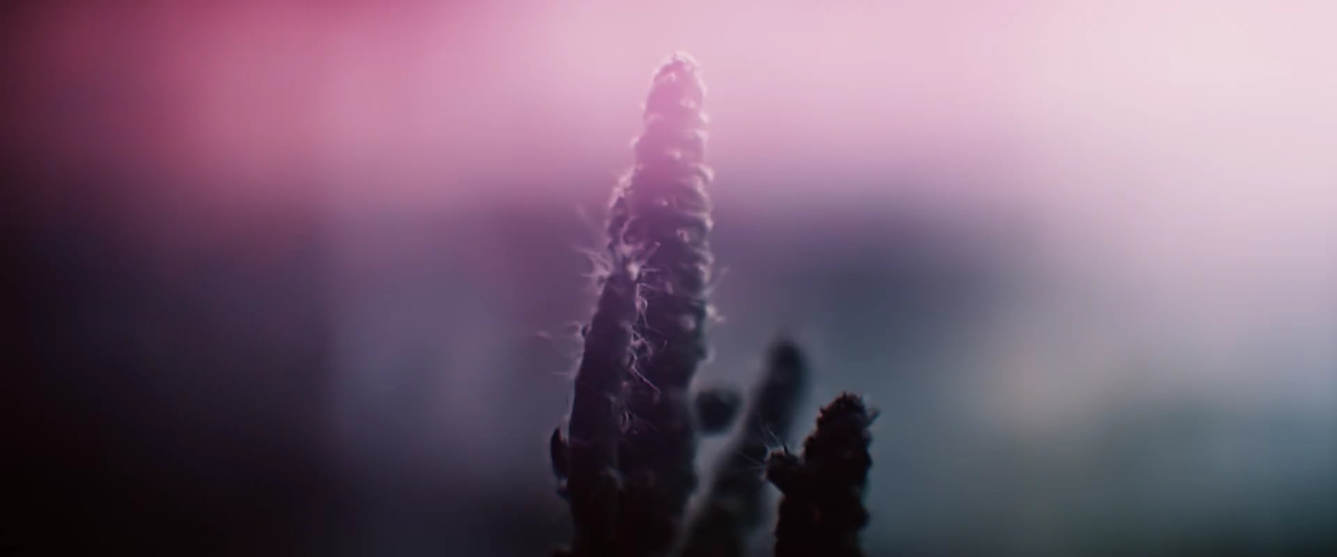 IDENT on Vimeo