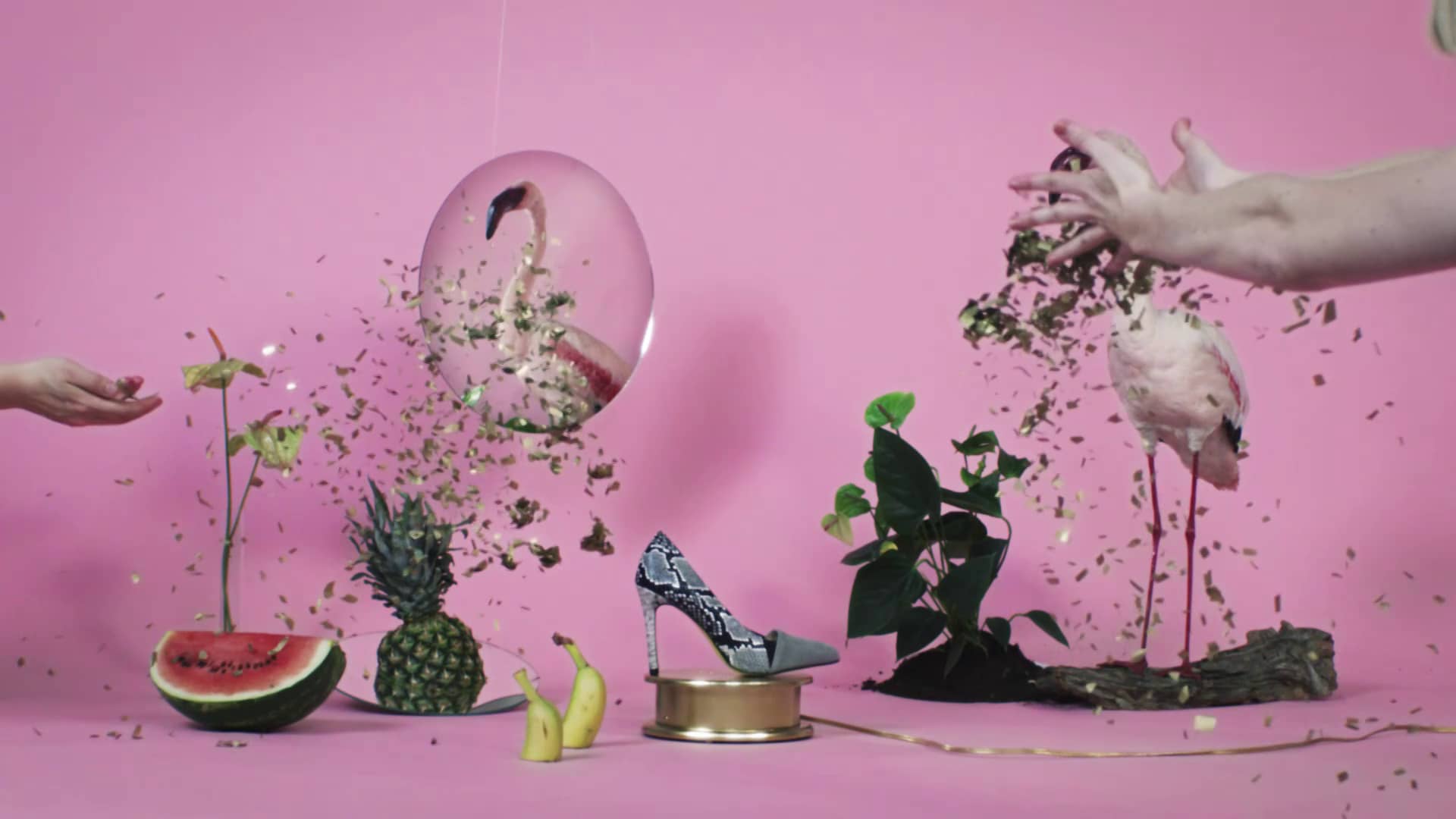 Bianco 'Spring Has Arrived' – Director's Cut on Vimeo