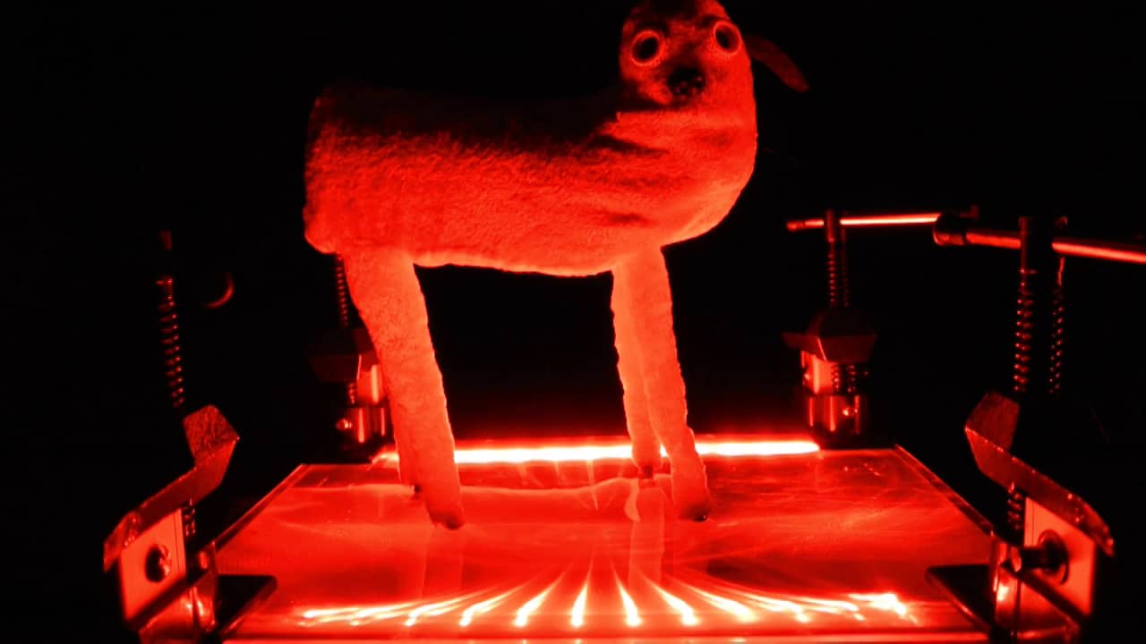 Experiments from THE ASSEMBLY of ANIMALS on Vimeo