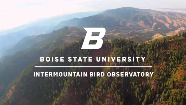 Intermountain Bird Observatory: Migration through Boise's Backyard