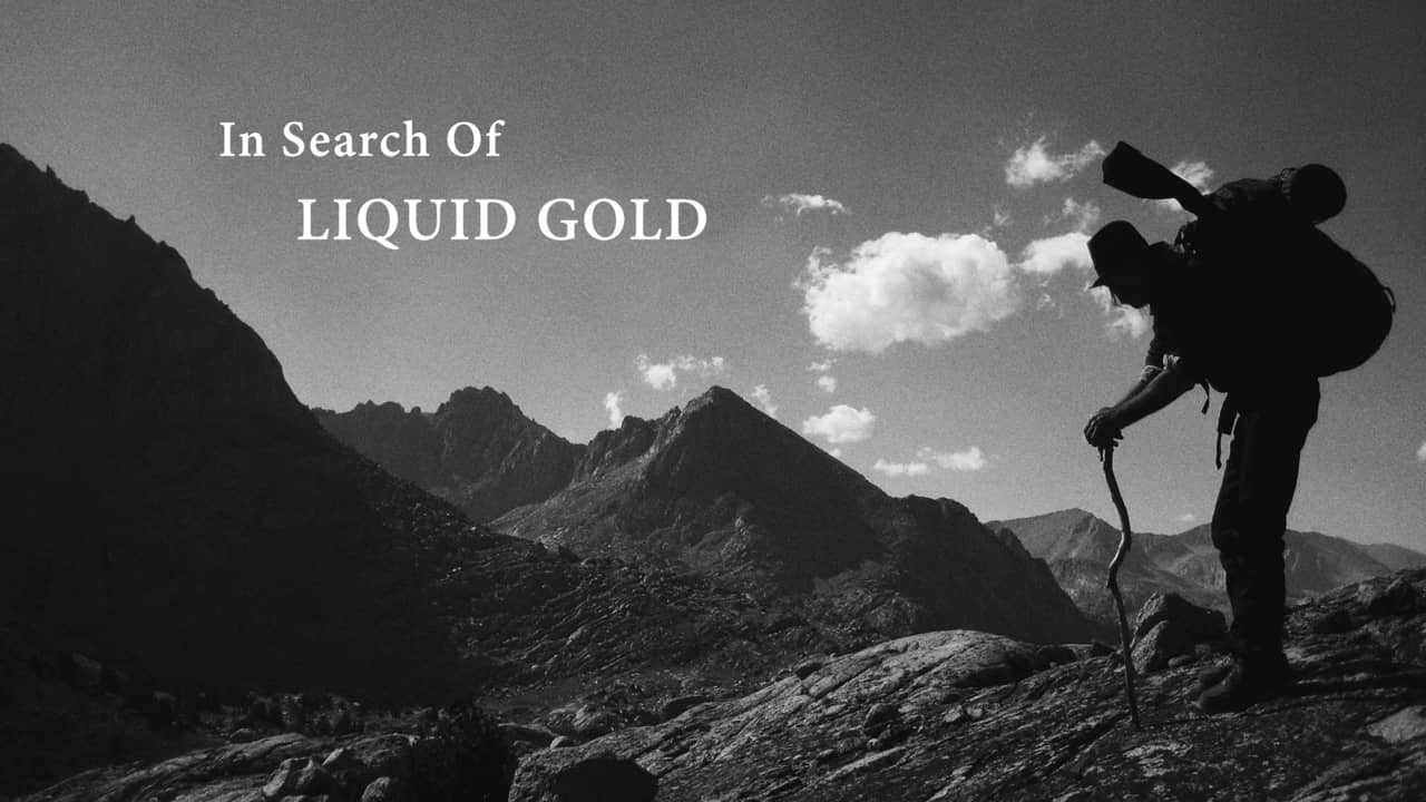 Liquid Gold on Vimeo