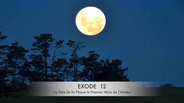 Le Calendrier de Dieu 4