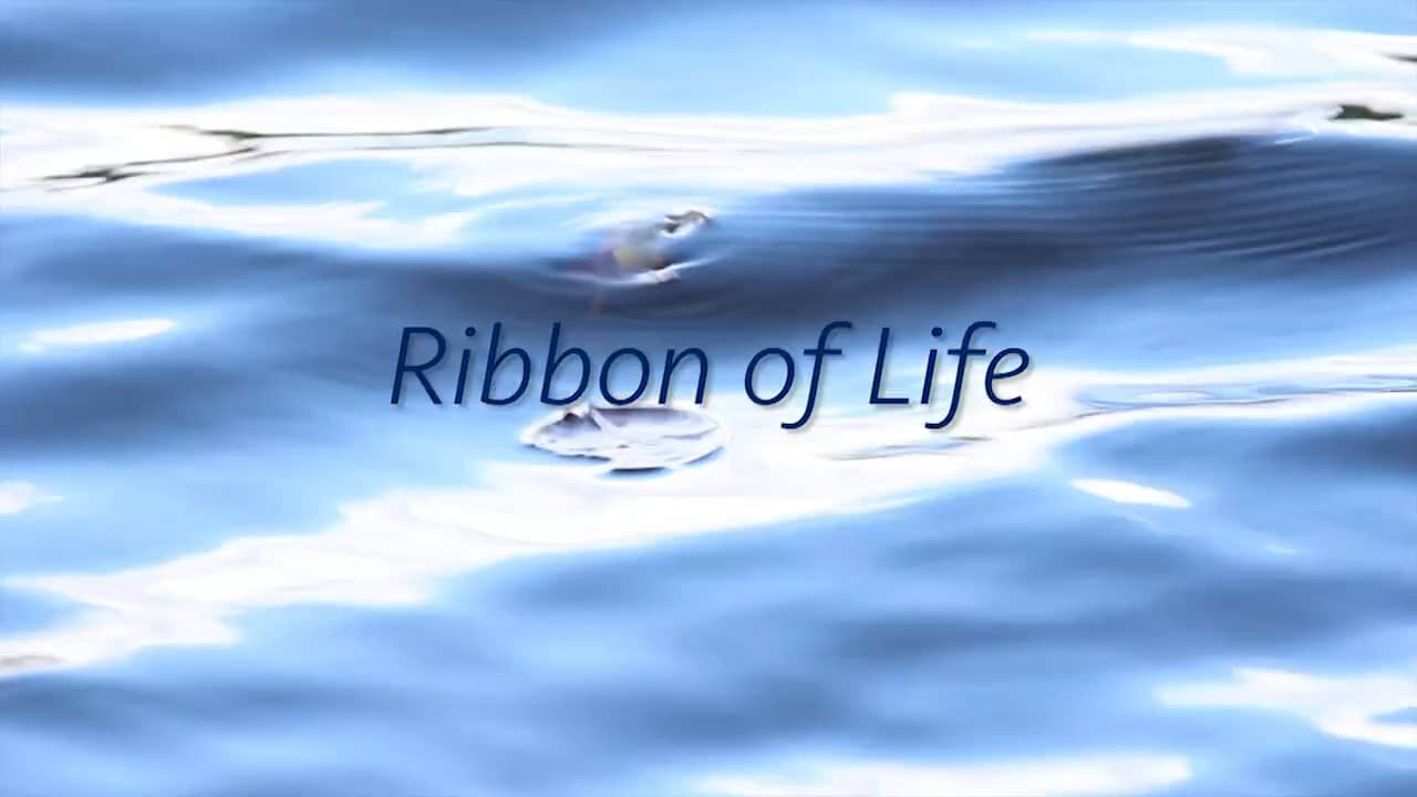 Ribbon of Life on Vimeo