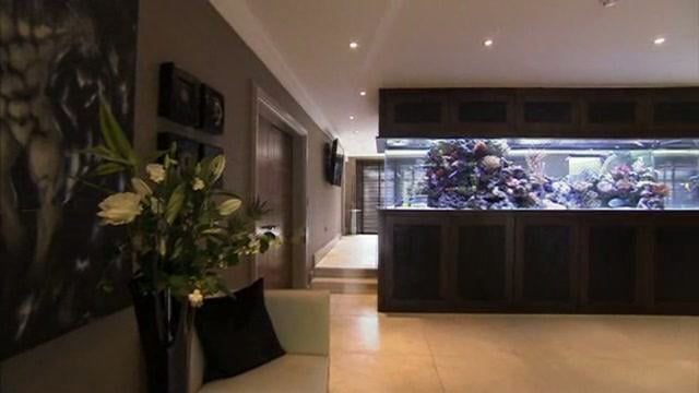 Stephen Ireland's $175,000 Fish Tank! on Vimeo