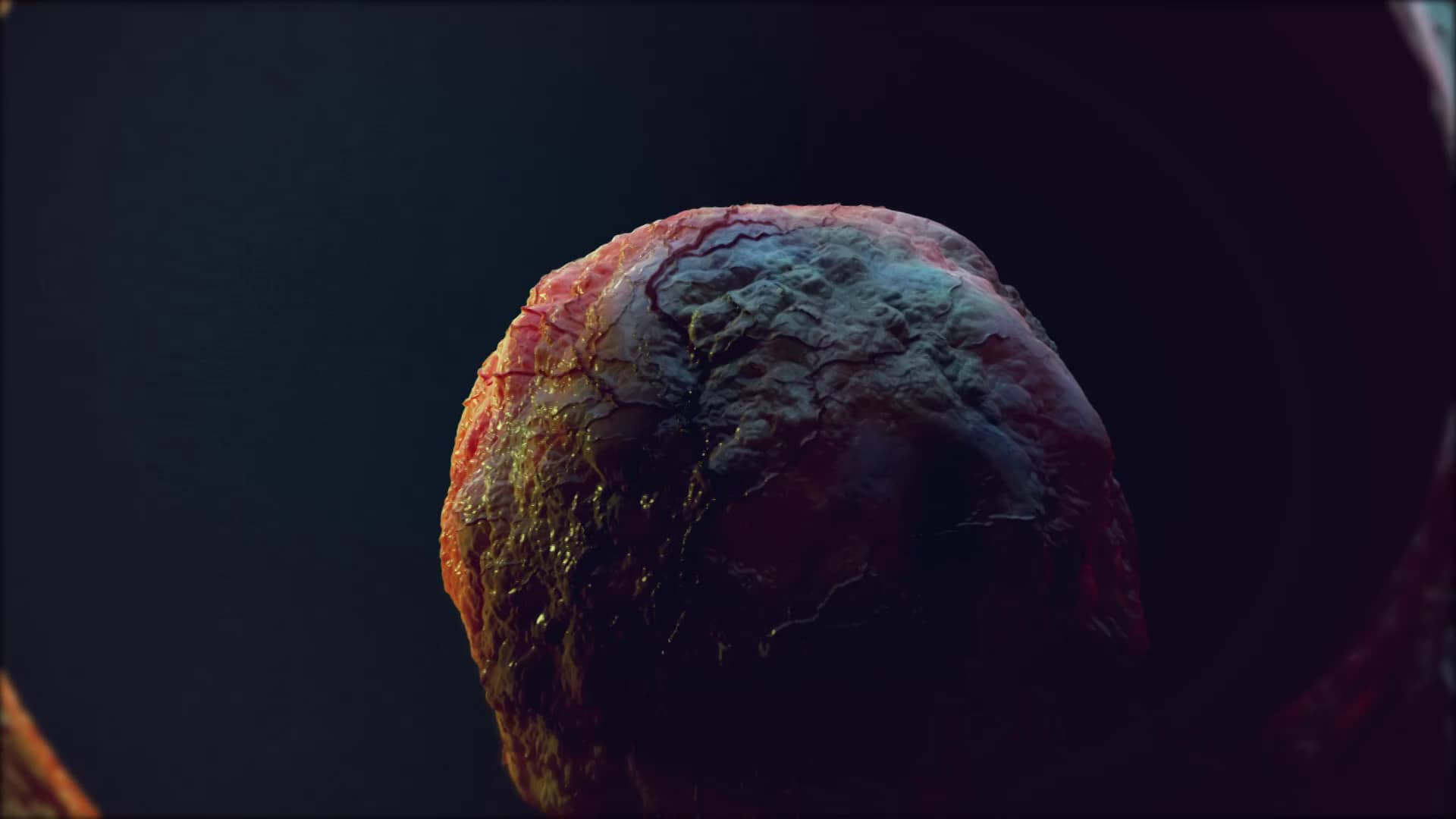 Kokrra Ident on Vimeo