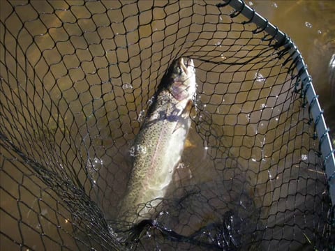 Fly fishing instruction for beginners and improvers on Vimeo