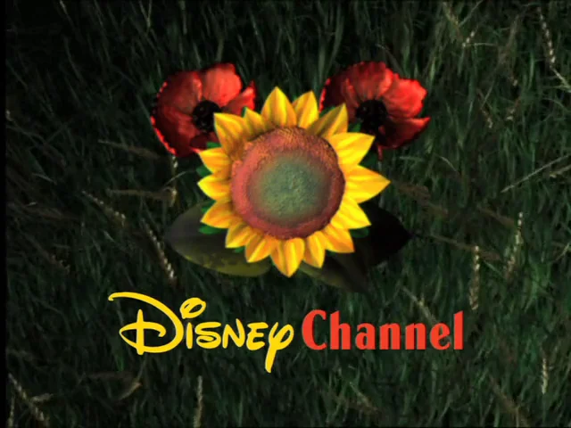 Disney Ident