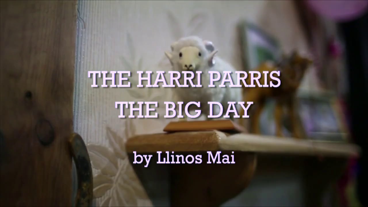 The Harri-Parris: The Big Day on Vimeo