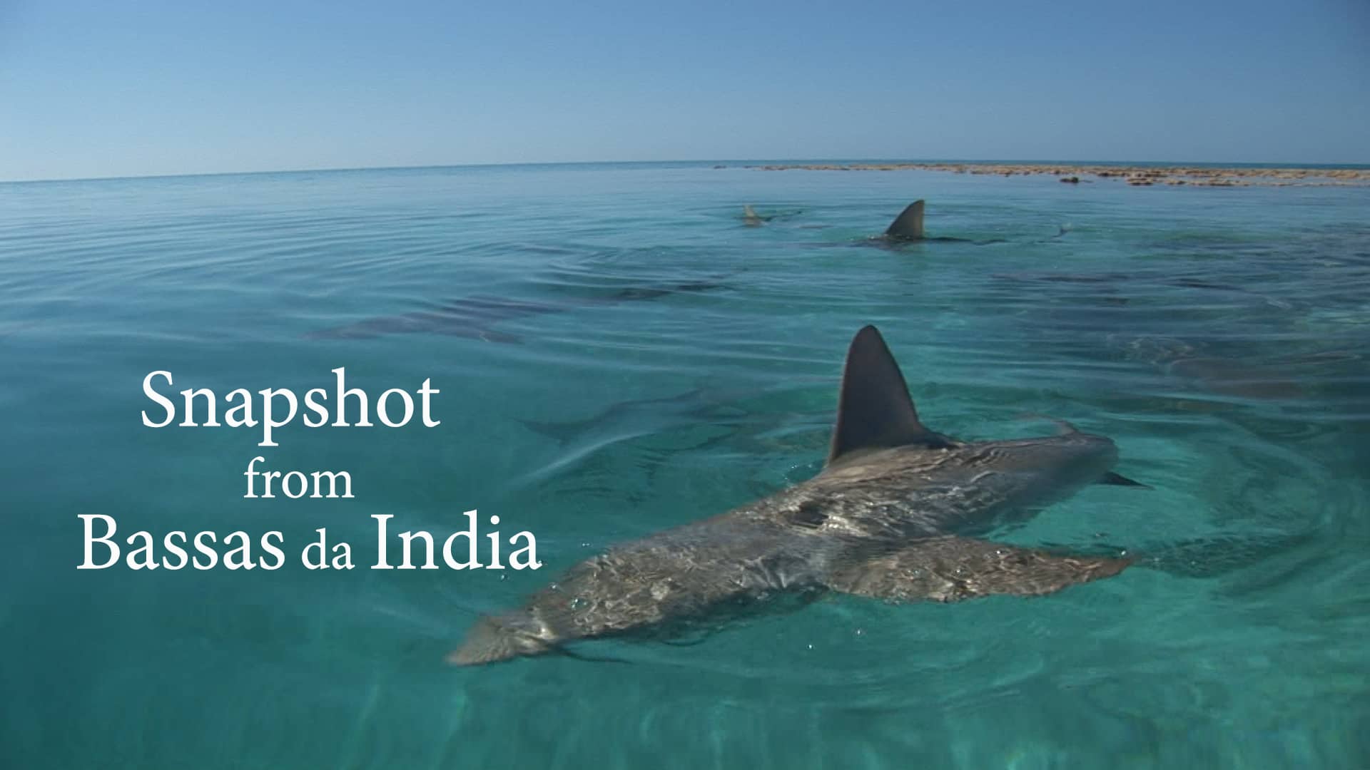 Snapshot from Bassas da India on Vimeo