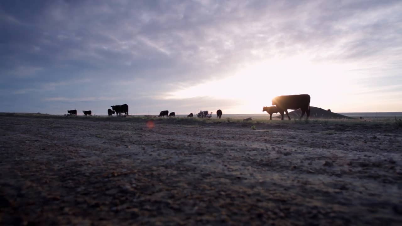 Hanna Ranch Official Trailer on Vimeo